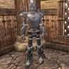 ESO Precursor Target Dummy Guide